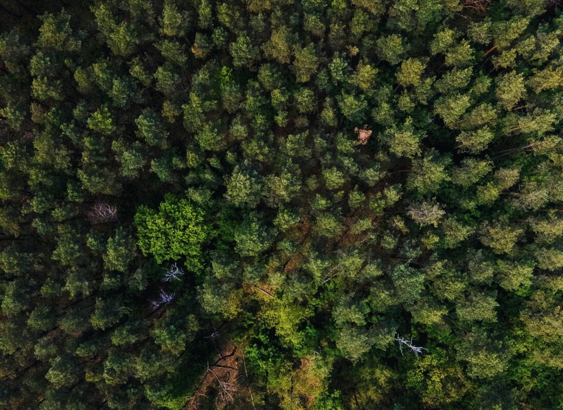 Planning a Trip to the BWCA? Here Are Four Routes You Gotta Try ...