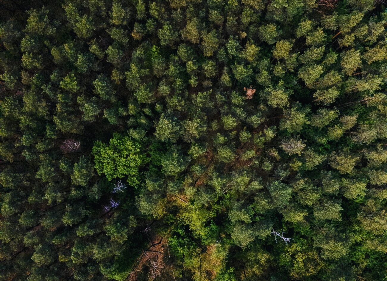 Stu Osthoff's Top 5 Boundary Waters Fishing Hotspots - friends-bwca.org