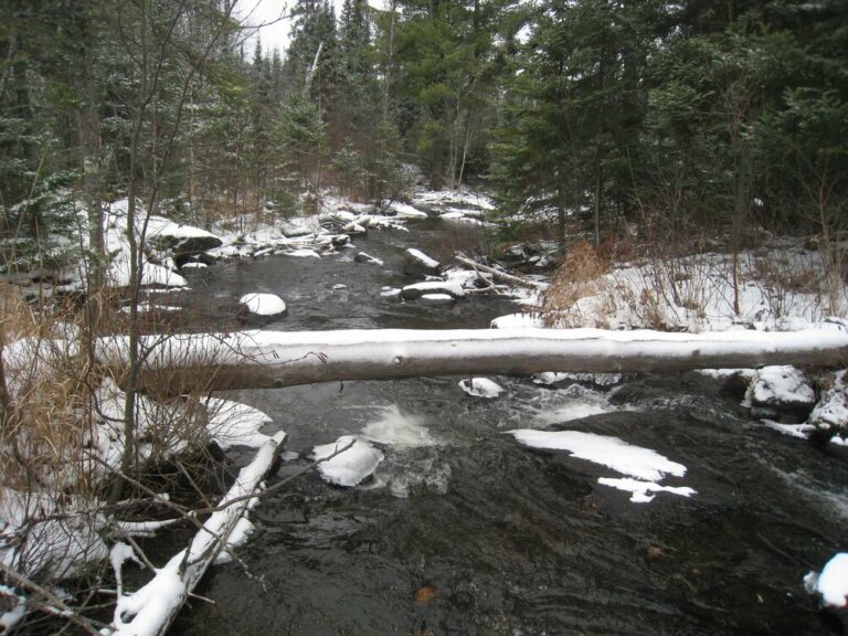 Cold Water Danger - A Lesson - friends-bwca.org