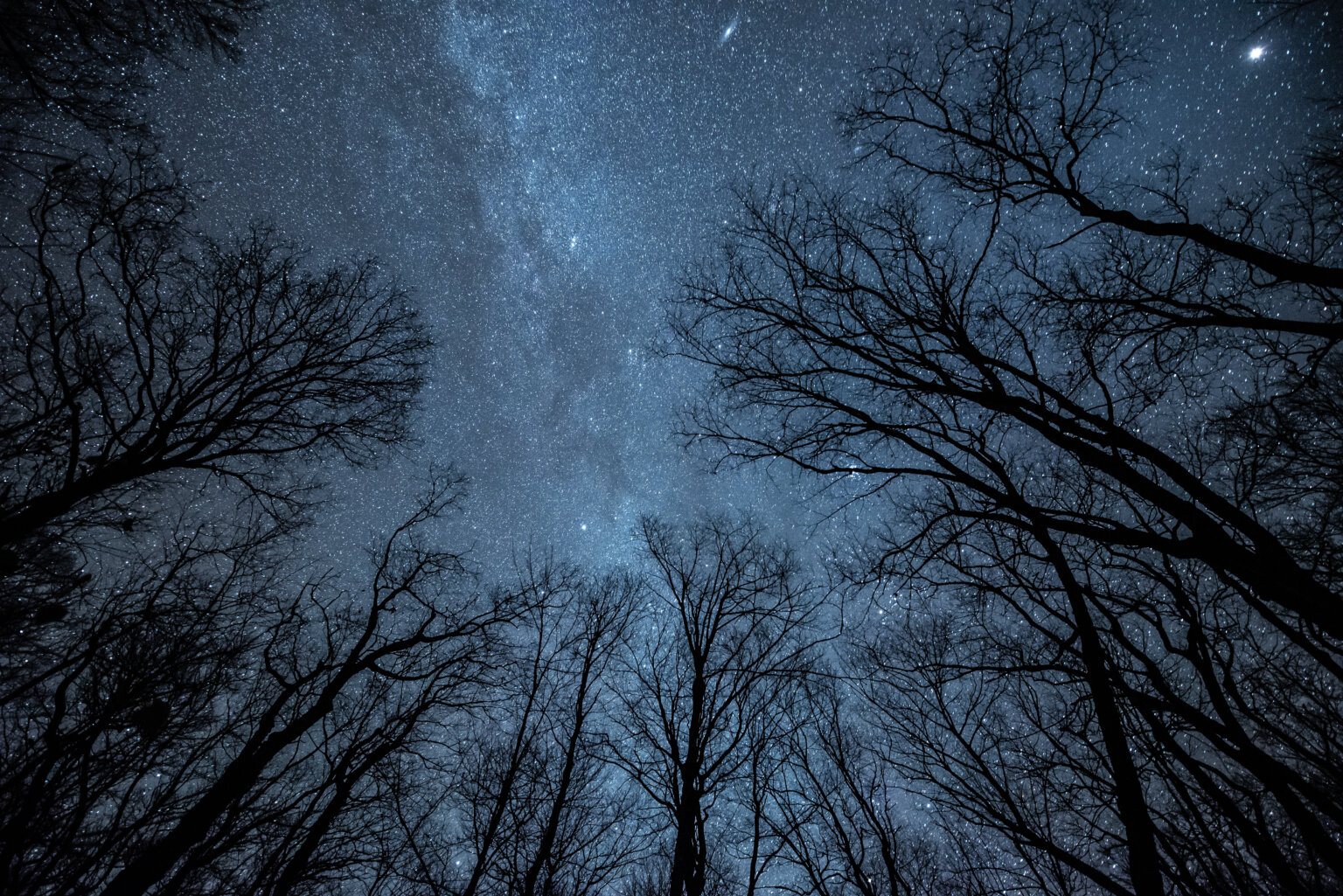 Being Present to the Starlight - friends-bwca.org